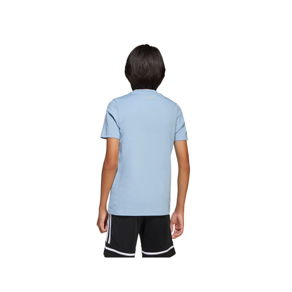 Remera Ninos adidas Afa - JJ Deportes